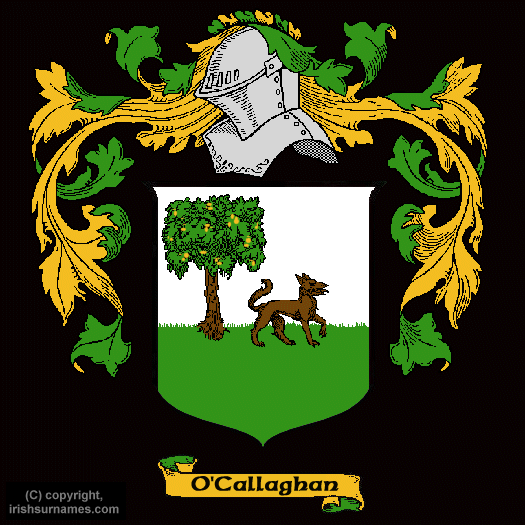 THE CONWAY FAMILY TREE CLAN McKAY THE CONWAY FAMILY TREE CLAN McKAY